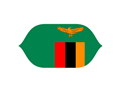 Zambie / Maroc en streaming direct et replay sur CANAL+ | CANAL+